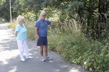 Noise variance request for I-405 night construction, moving 200,000 ...