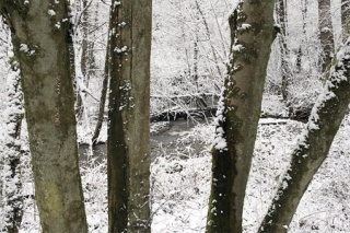 SNOW UPDATE: Renton schools 90 minutes late; Kent, Issaquah schools two ...