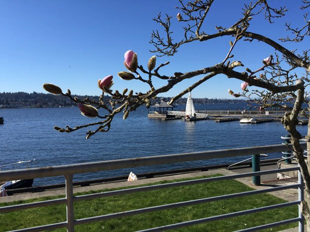 More sun? We'll take it | WEEKEND WEATHER | Renton Reporter