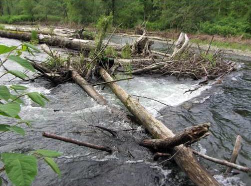 Two log jams spanning the lower Cedar River; users must portage ...