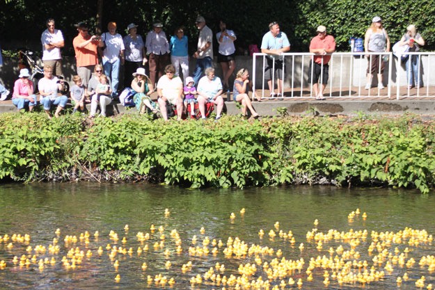 Renton River Days 2014 | SLIDESHOW | Renton Reporter
