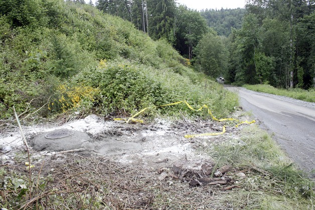Sewage flows into Cedar River after debris clogs pipeline near Royal ...