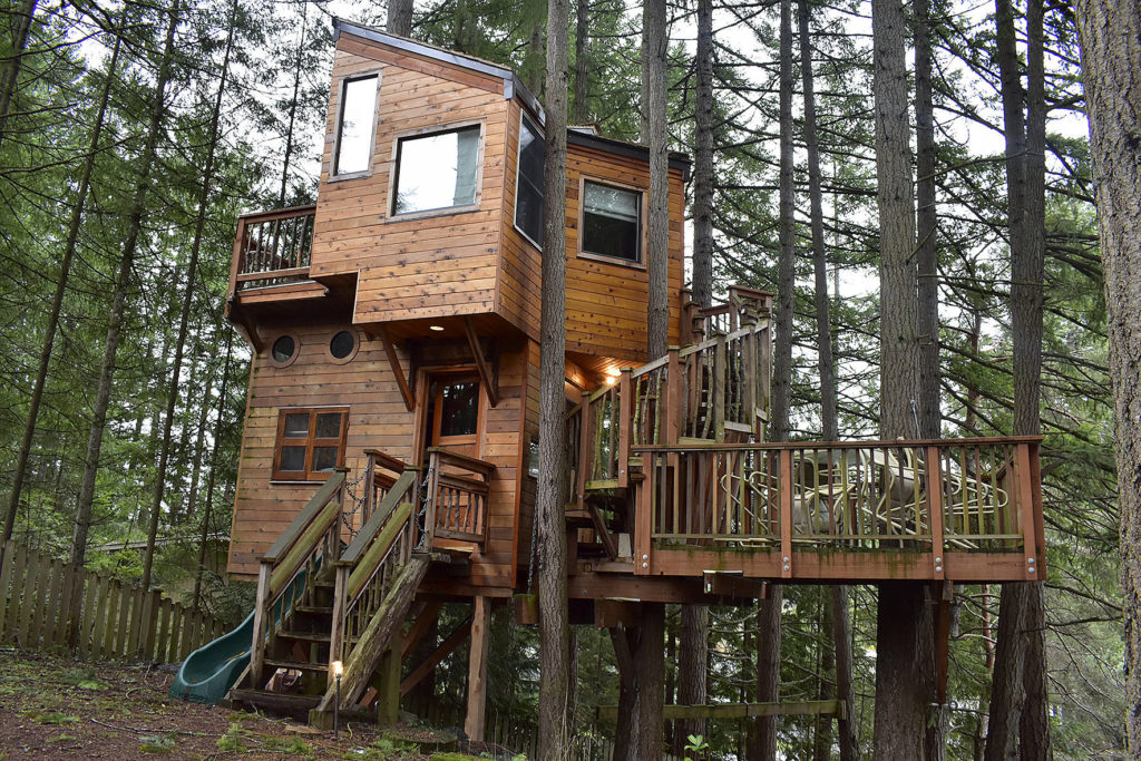 The transformation of a treehouse | Renton Reporter