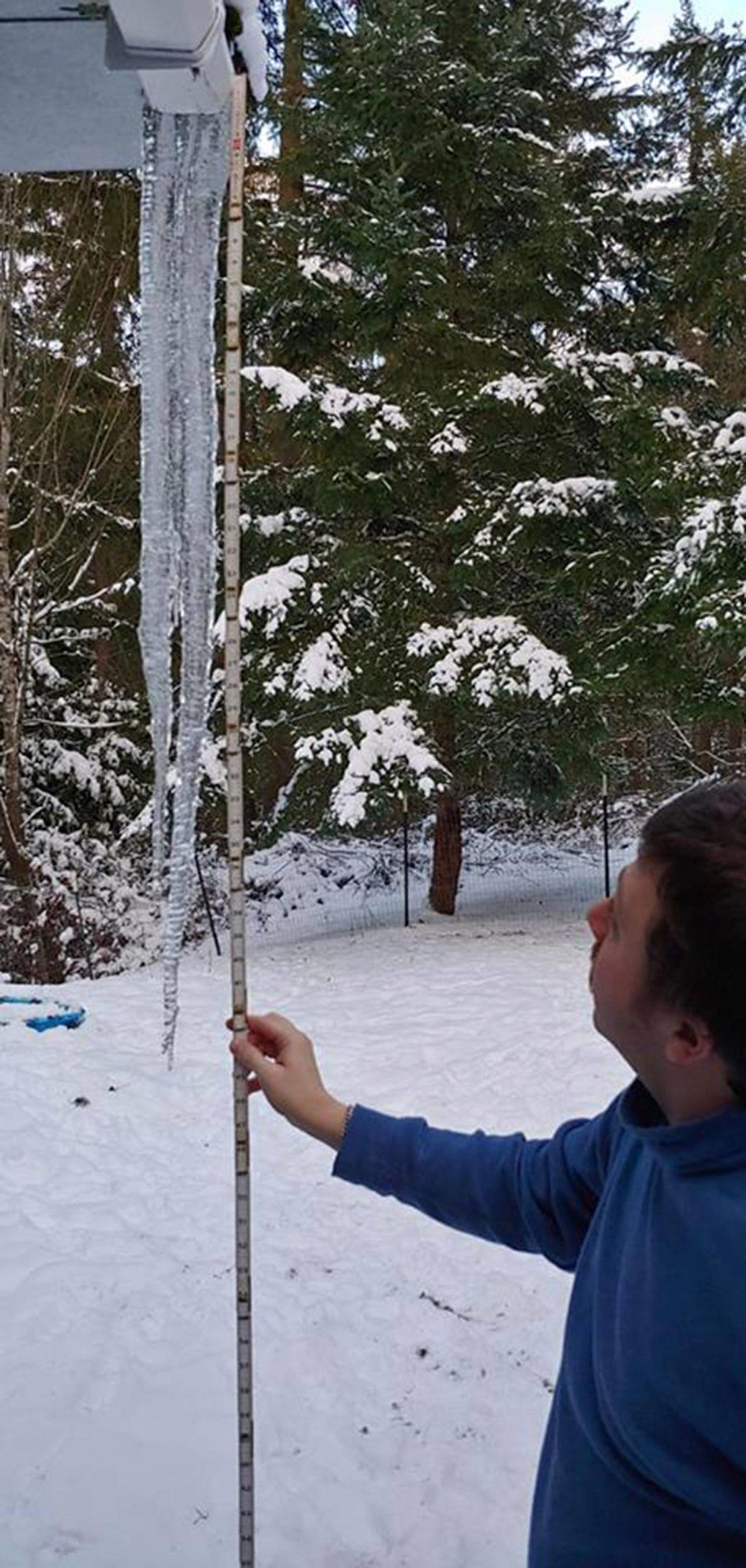 Photo gallery: Renton readers’ snow day | Renton Reporter