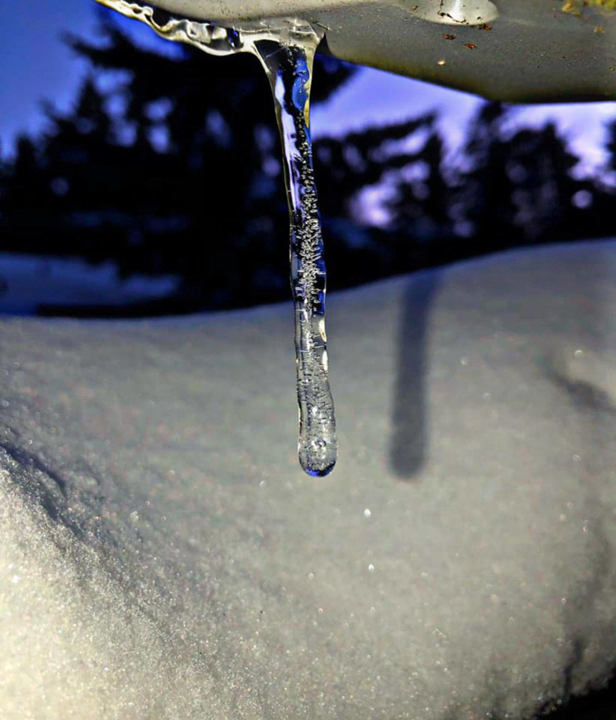 Photo gallery: Renton readers’ snow day | Renton Reporter