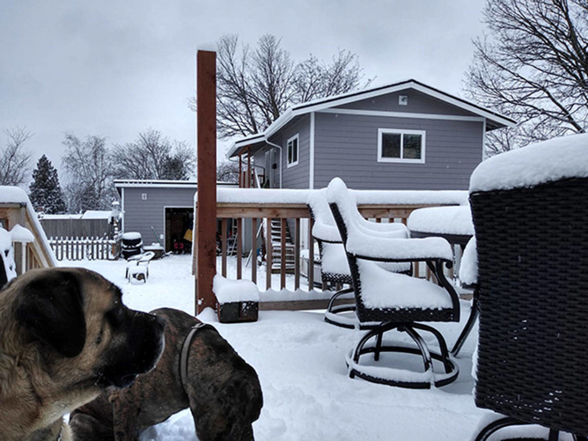 Photo gallery: Renton readers’ snow day | Renton Reporter