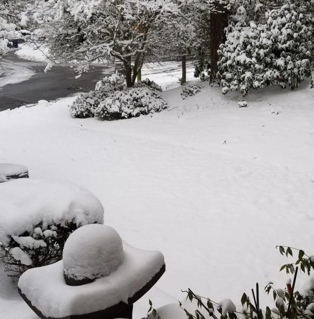 Photo gallery: Renton readers’ snow day | Renton Reporter