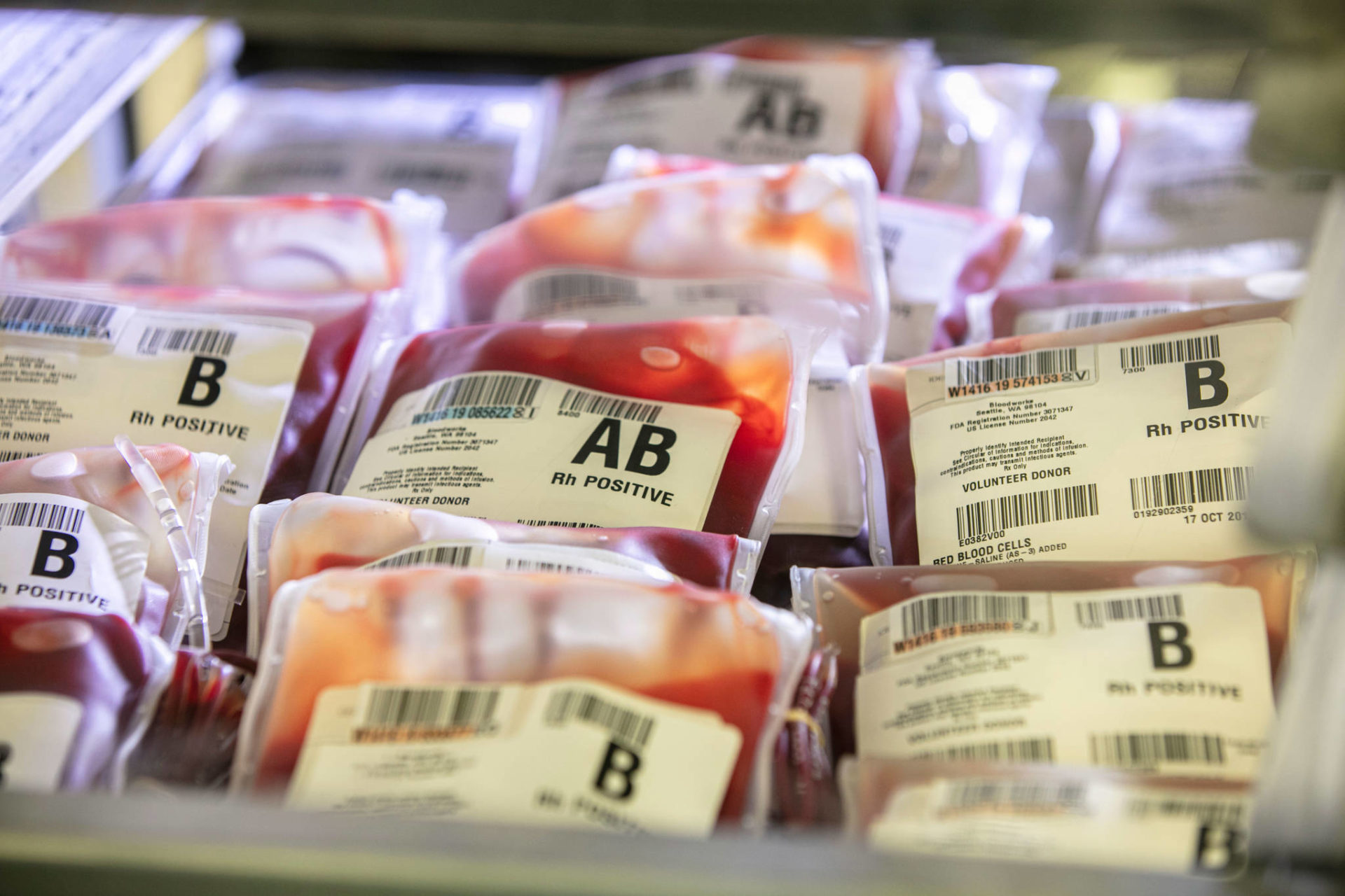 Bloodworks Northwest to host blood drives in Renton | Renton Reporter