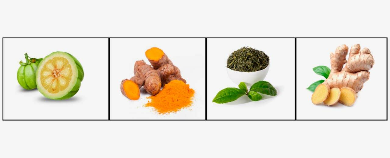 African Lean Belly Reviews - Bad Customer Complaints? | Renton Reporter