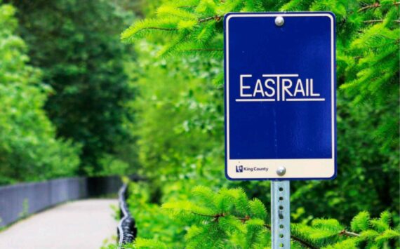 Sunset neighborhood park is coming into focus | Renton Reporter