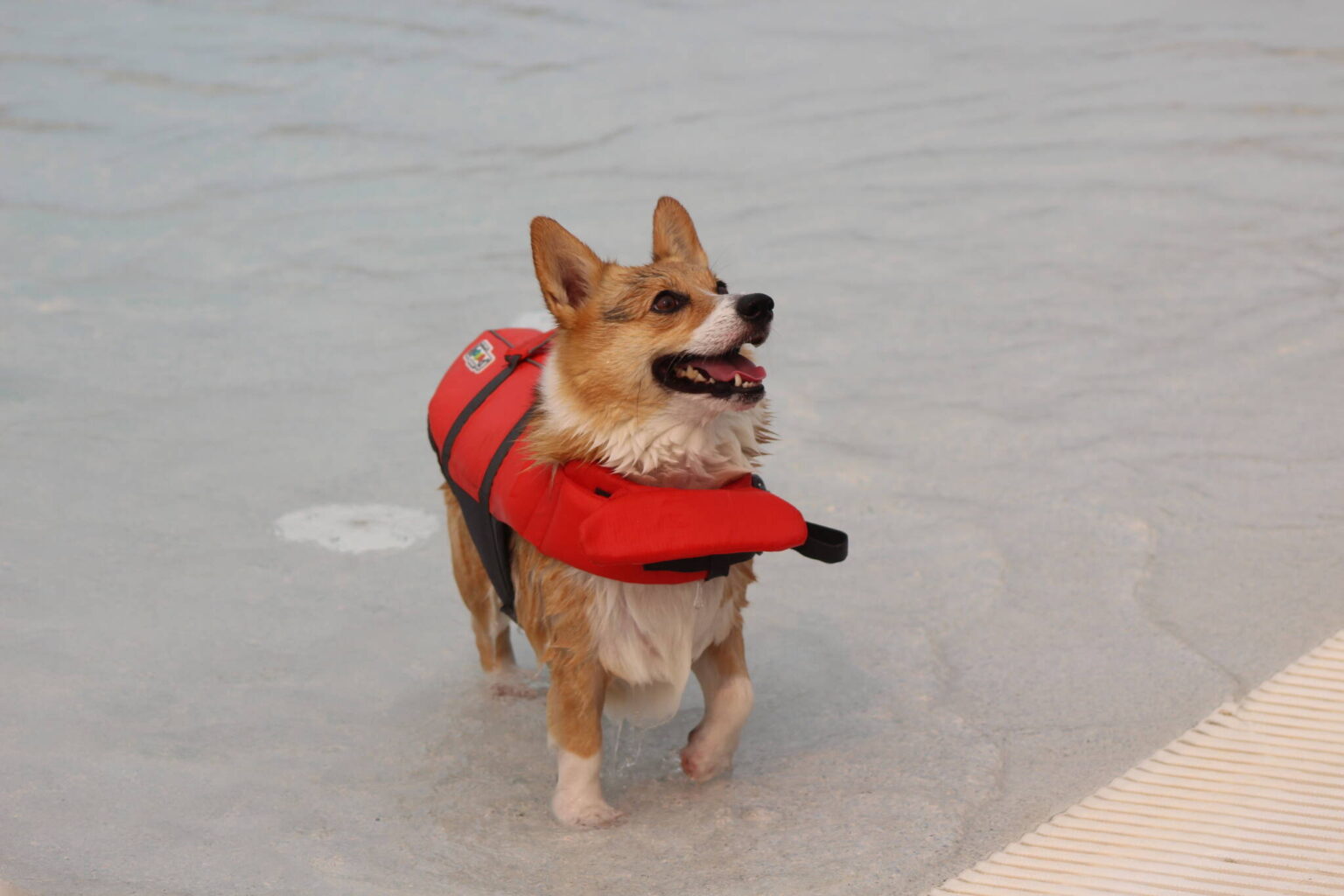 What’s going on around Renton? | Sept. 19 edition | Renton Reporter