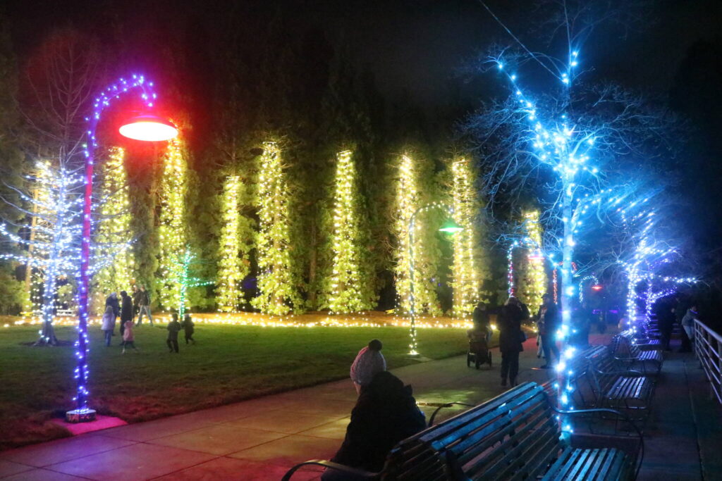 What’s going on around Renton? | Dec. 25 edition | Renton Reporter