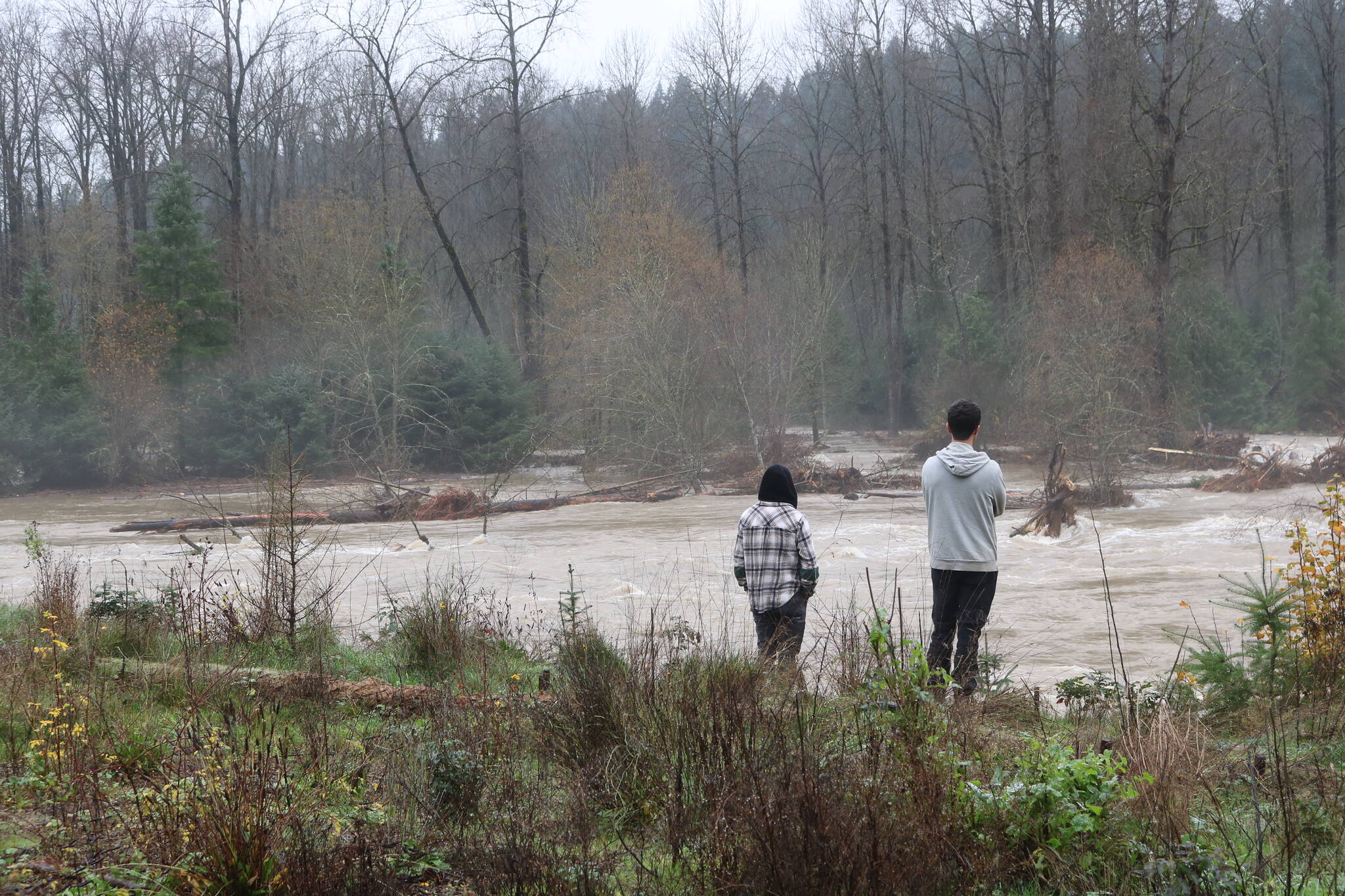 Cedar River Council extends flood experience survey through June ...